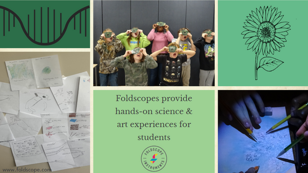 Foldscope Explores… Microscopy and Art - Foldscope Instruments, Inc.