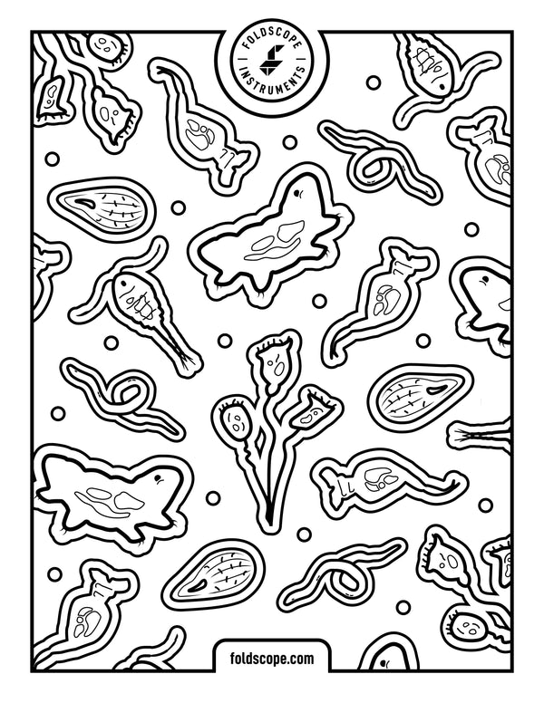 coloring pages and labels of a microscope