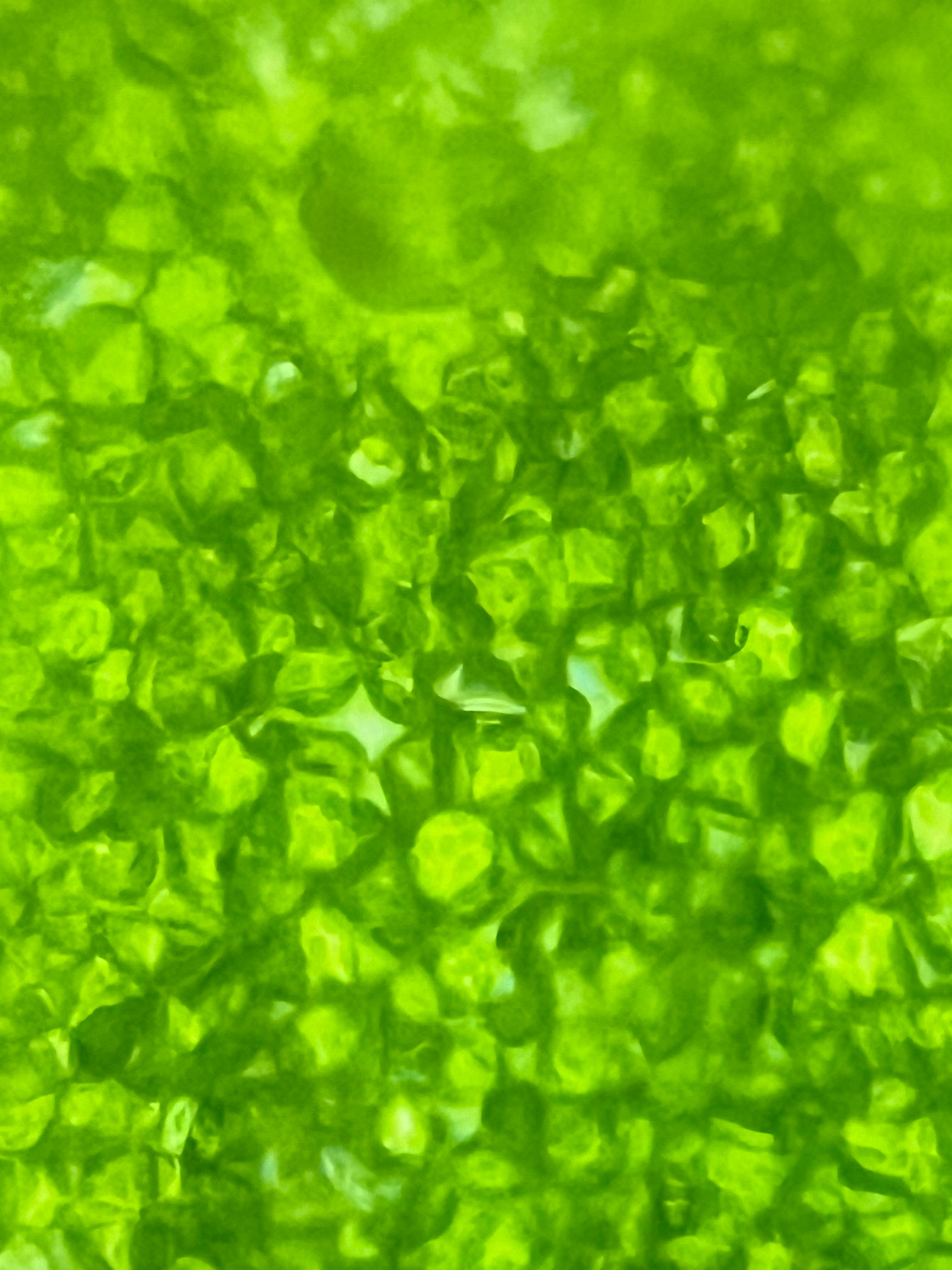 Foldscope Blog - Foldscope Instruments, Inc.