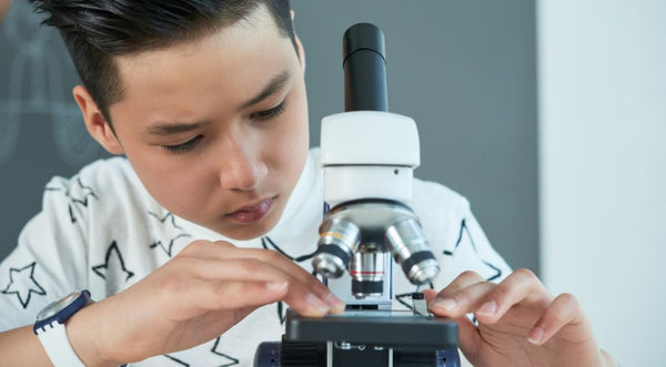 5 Fun and Easy Microscope Activities for Young Kids - Foldscope ...