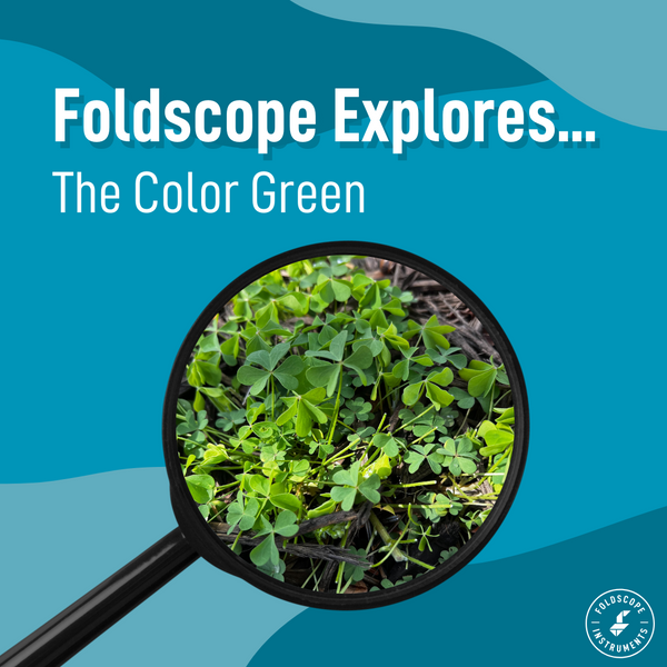 Foldscope Explores... The Color Green - Foldscope Instruments, Inc.