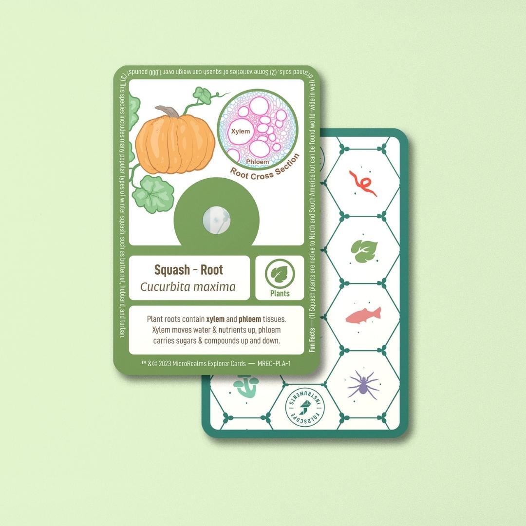 MicroRealms Explorer Cards - Series 1 - Foldscope Instruments, Inc.