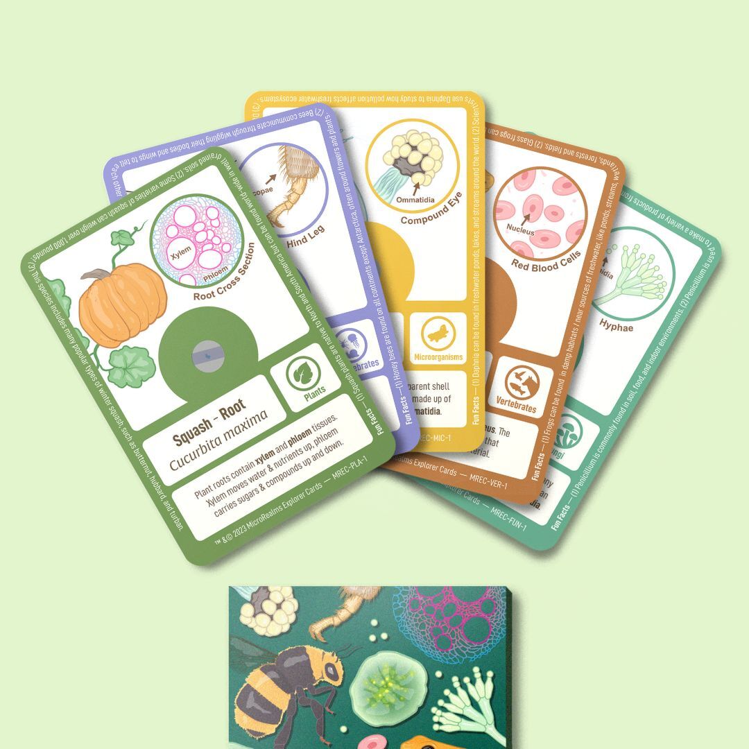 MicroRealms Explorer Cards - Series 1 - Foldscope Instruments, Inc.