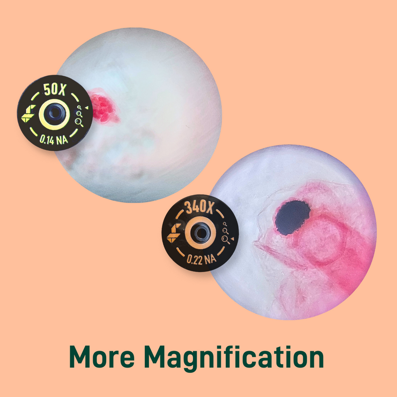 Accessory Lens Kit (Contains 20 units of 50x lenses + 20 units 340x le ...