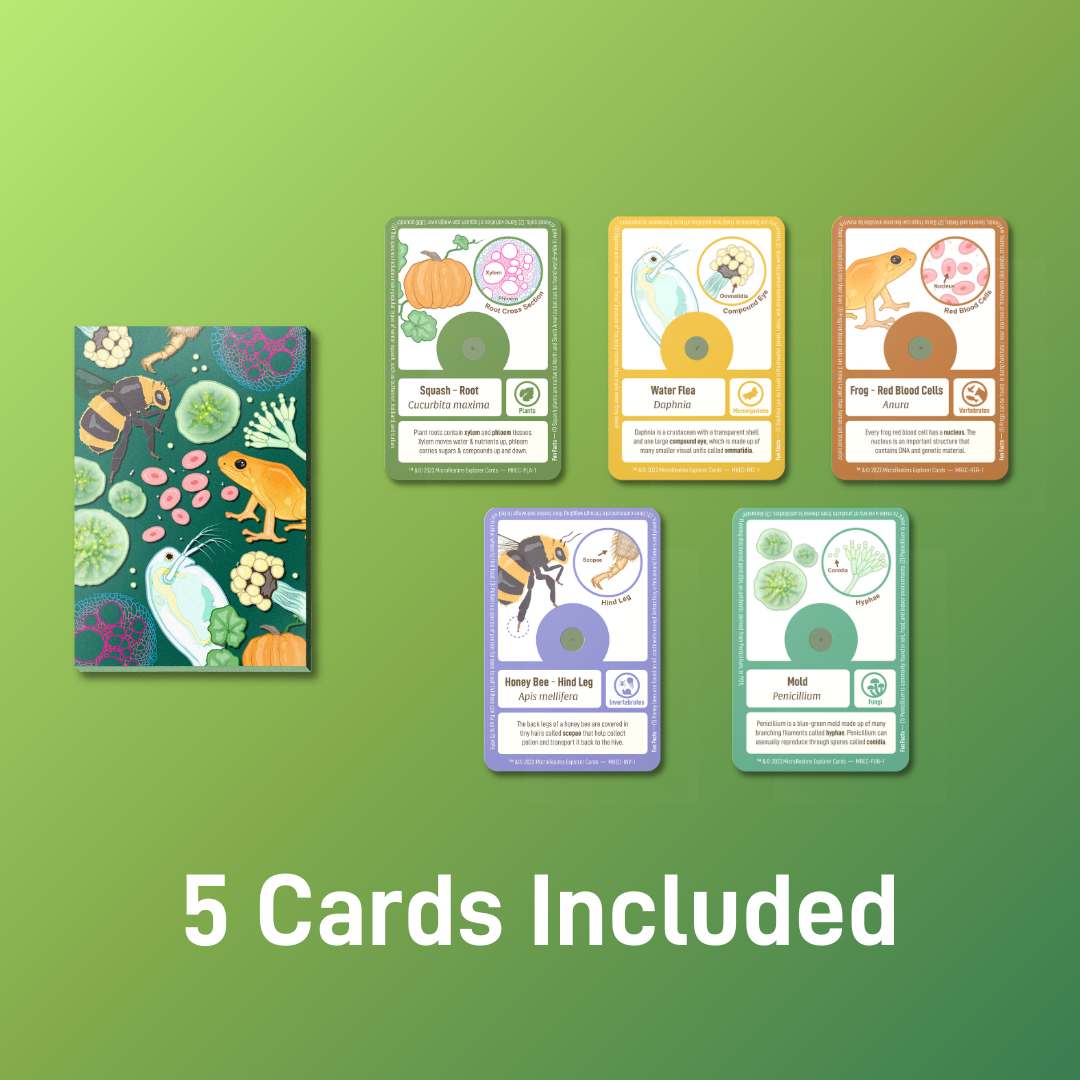 MicroRealms Explorer Cards - Series 1 - Foldscope Instruments, Inc.
