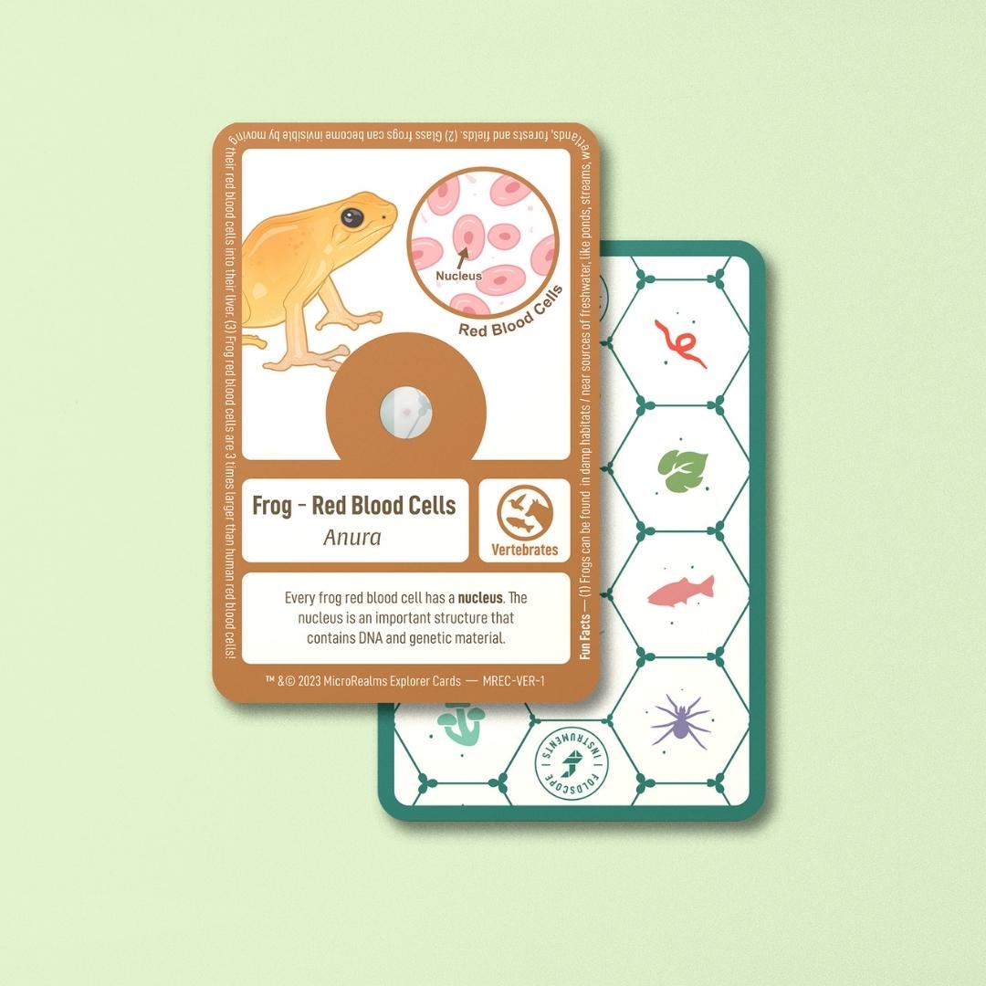 MicroRealms Explorer Cards - Series 1 - Foldscope Instruments, Inc.
