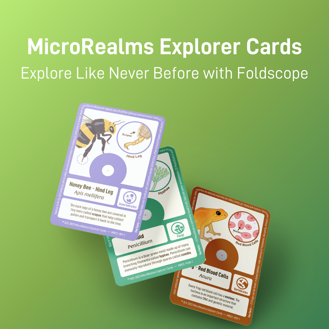 MicroRealms Explorer Cards - Series 1. - Foldscope Instruments, Inc.