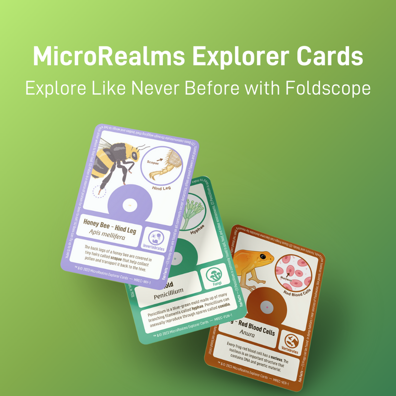 MicroRealms Explorer Cards - Series 1. - Foldscope Instruments, Inc.